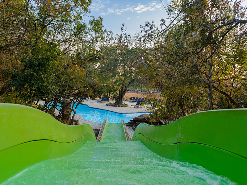 Waterberg Game Park – Beekman Holidays